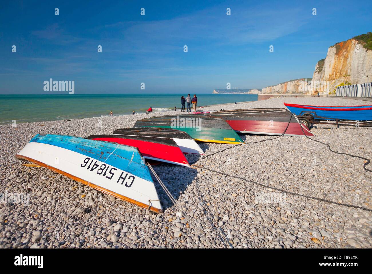 France, Seine Maritime, Pays de Caux, Alabaster coast, Yport, Fishing ...