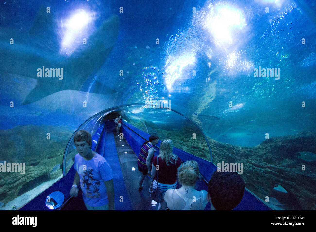 Aqwa aquarium hi-res stock photography and images - Alamy