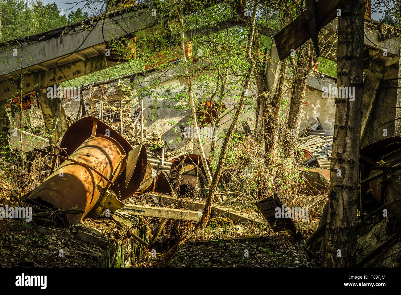 Abandoned farm overgrown with trees in Belarus Chernobyl exclusion zone ...