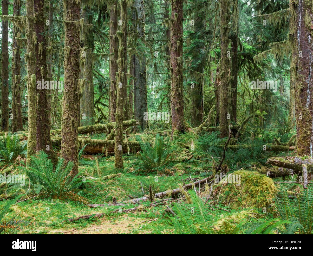 Primitive states hi-res stock photography and images - Alamy