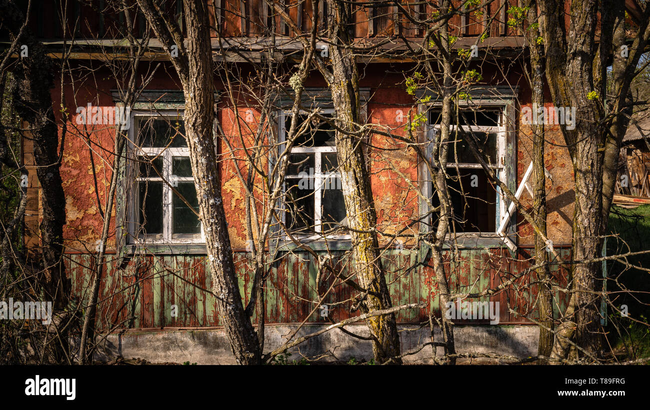 Overgrown nature in chernobyl hi-res stock photography and images - Alamy
