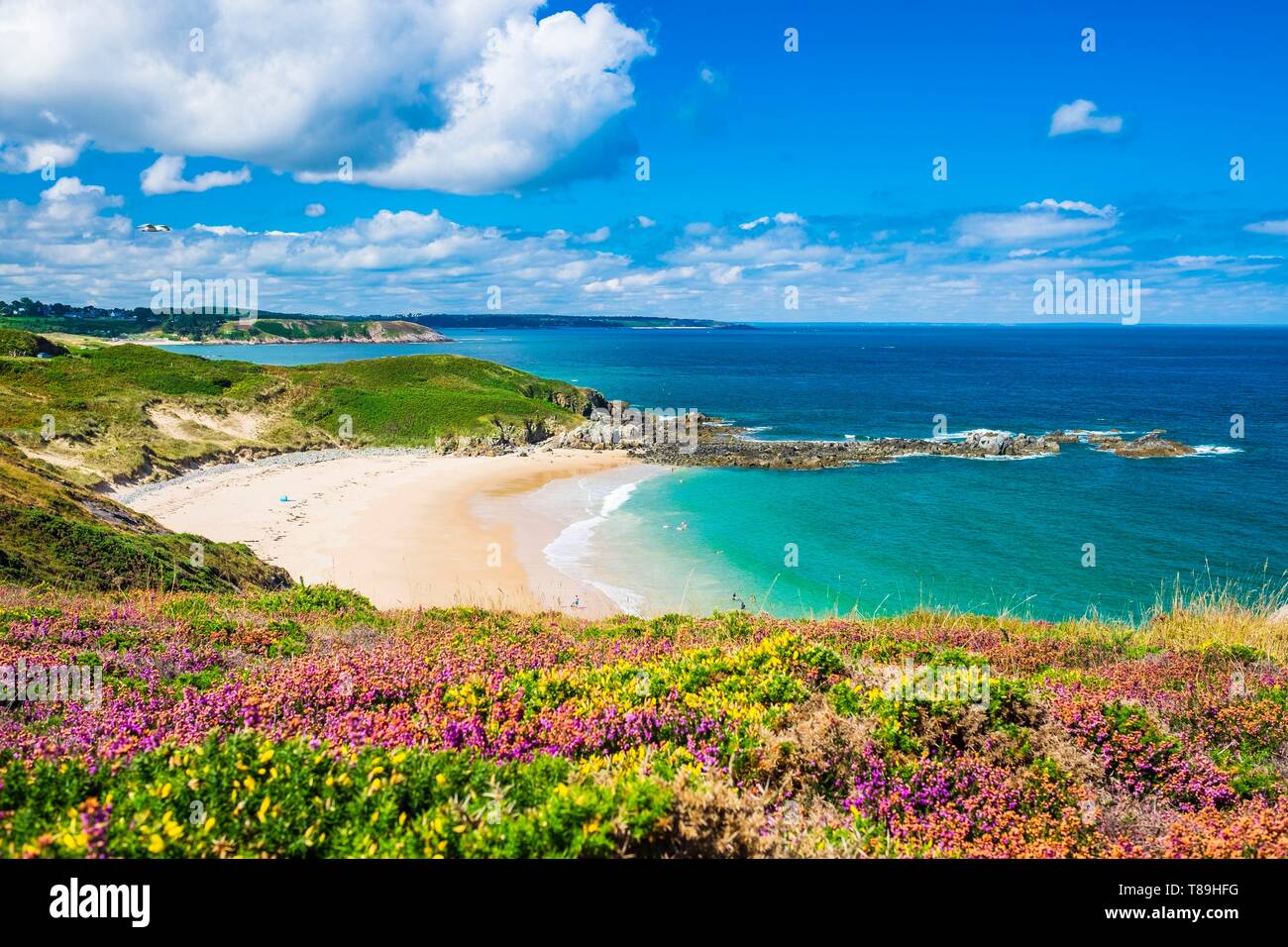 France, Cotes d'Armor, Plevenon, La Fosse beach adjoining the Pointe de ...