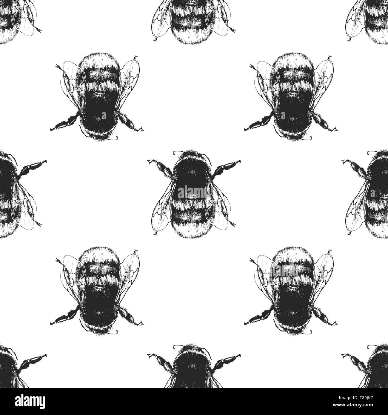 Seamless pattern of hand drawn sketch style bumblebee isolated on white ...