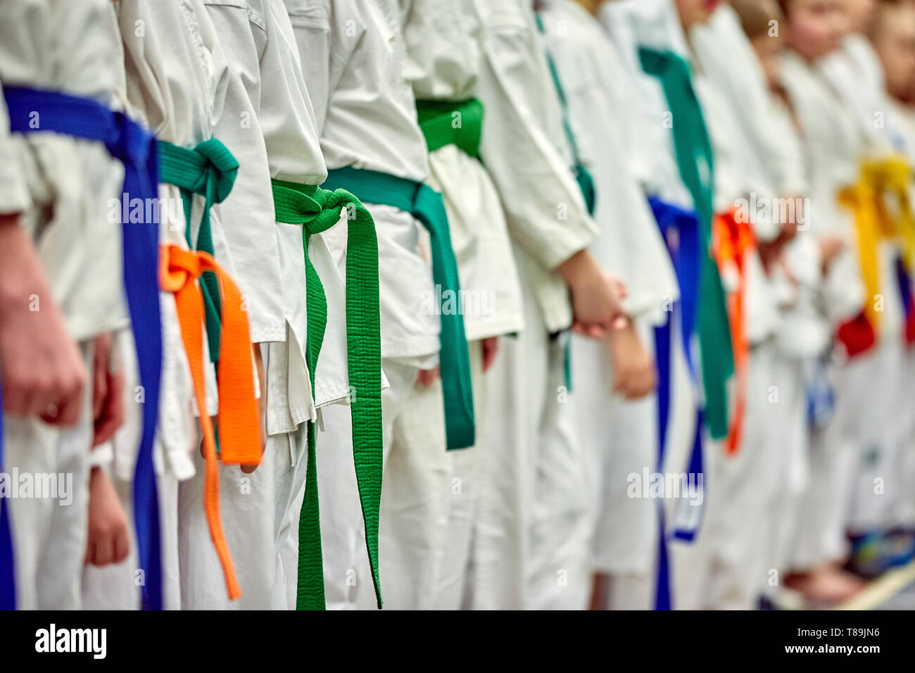 Different Levels Of Martial Arts Belts at Leticia Martinez blog