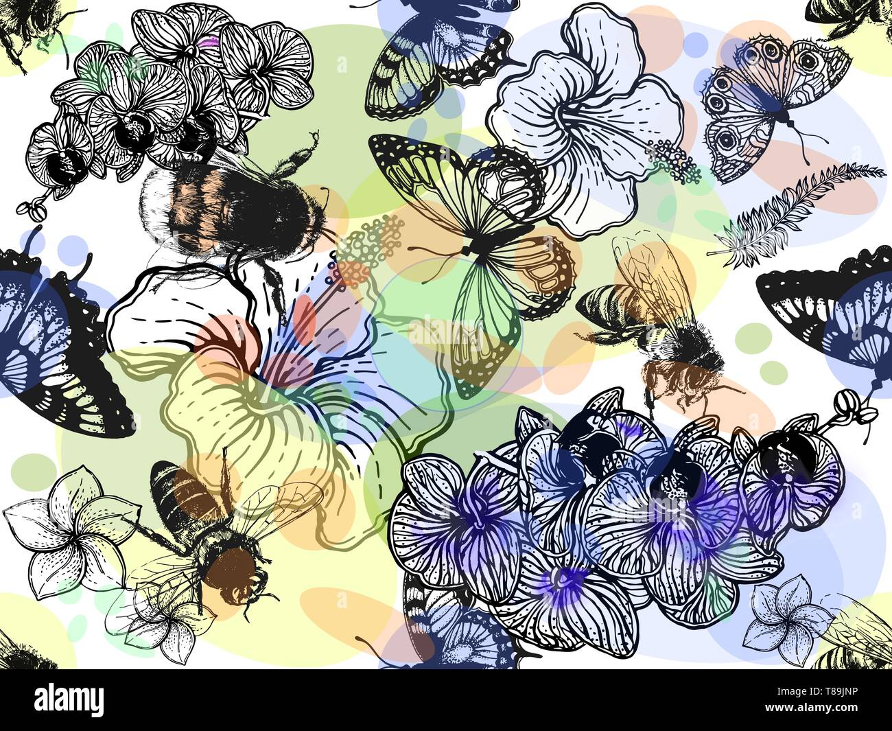 Insects that have large wings Stock Vector Images - Alamy