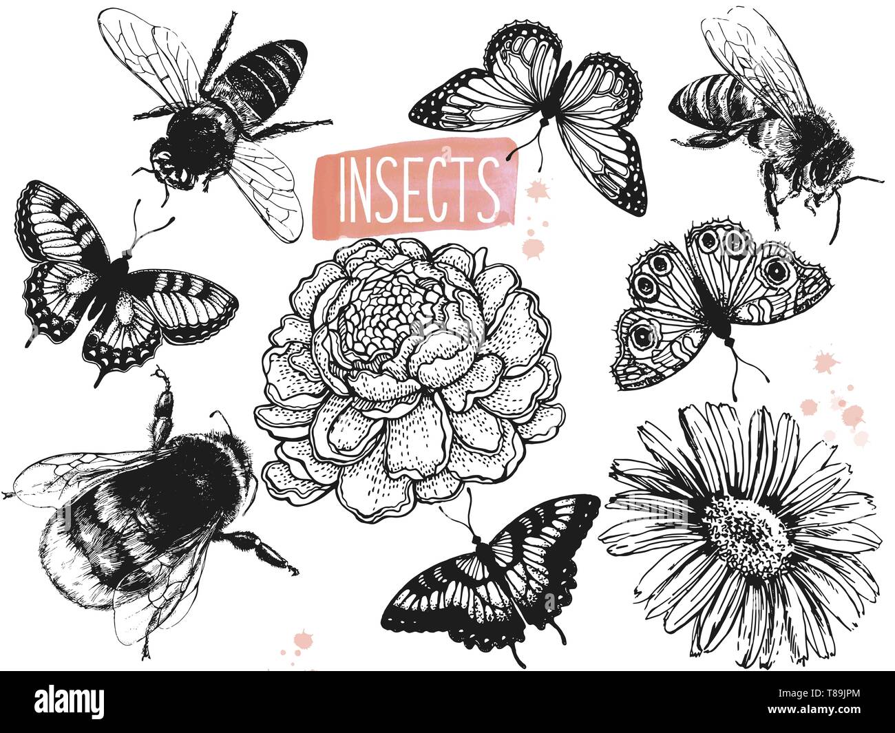Set of hand drawn sketch style insects and flowers isolated on white ...