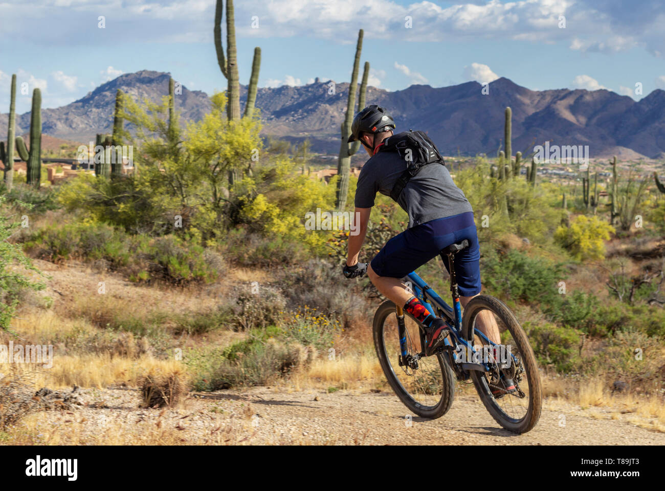 Mountain Biking In the Arizona Desert Near Phoenix Stock Photo - Alamy
