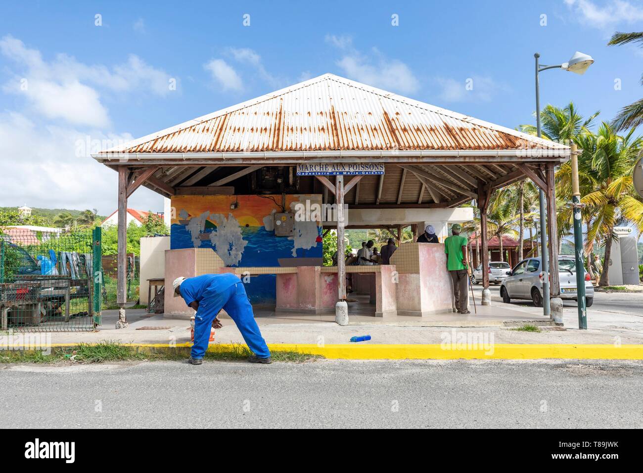 Marie galante fish hi-res stock photography and images - Alamy