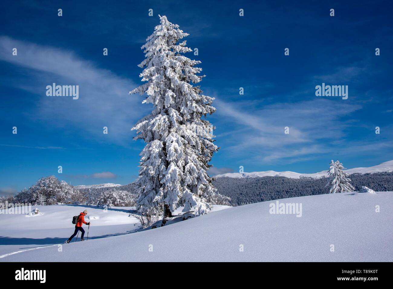 France, Jura, GTJ great crossing of the Jura on snowshoes, crossing ...