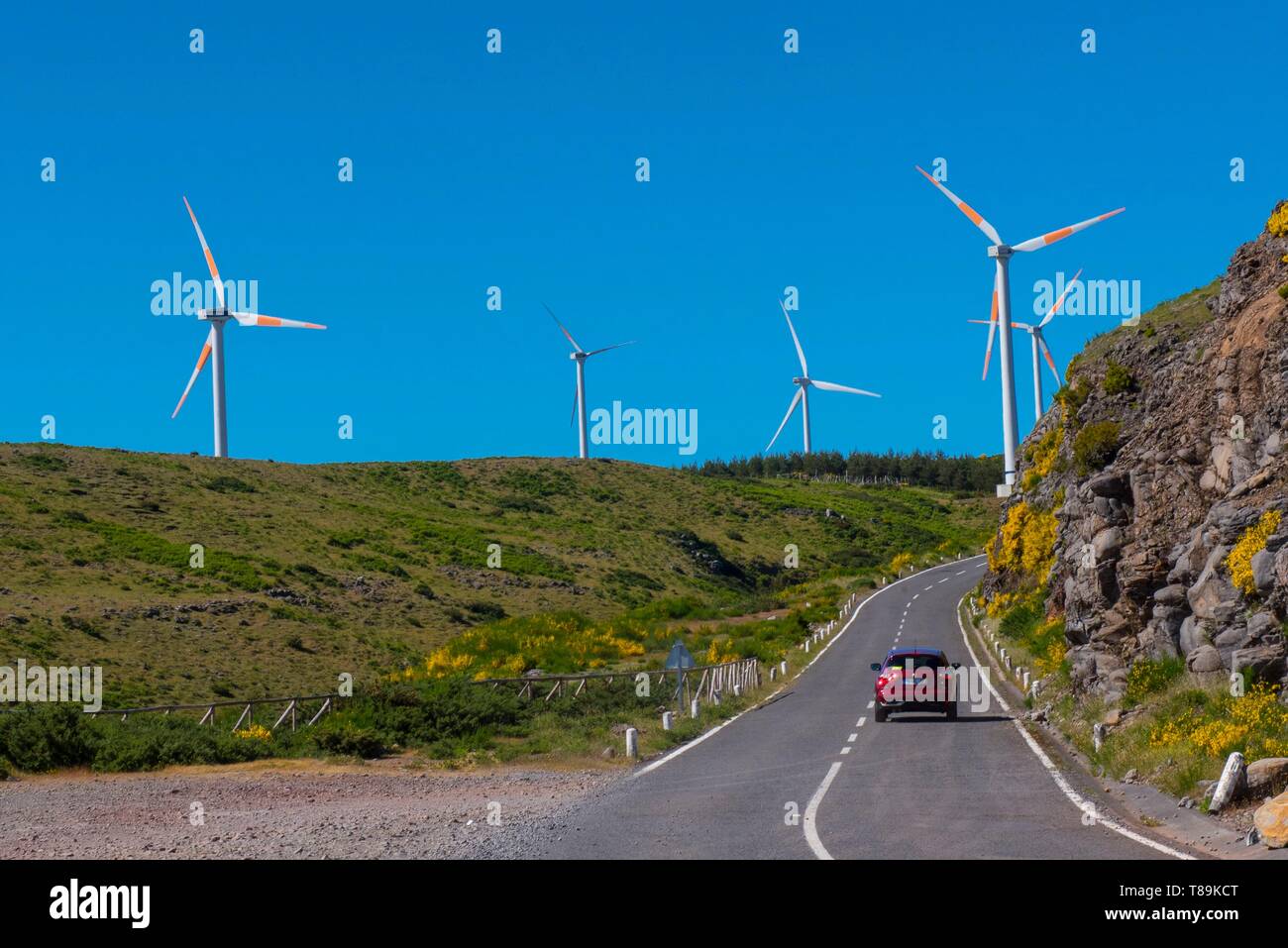 Portugal, Madeira Island, plateau of Paul da Serra convenient to the ...
