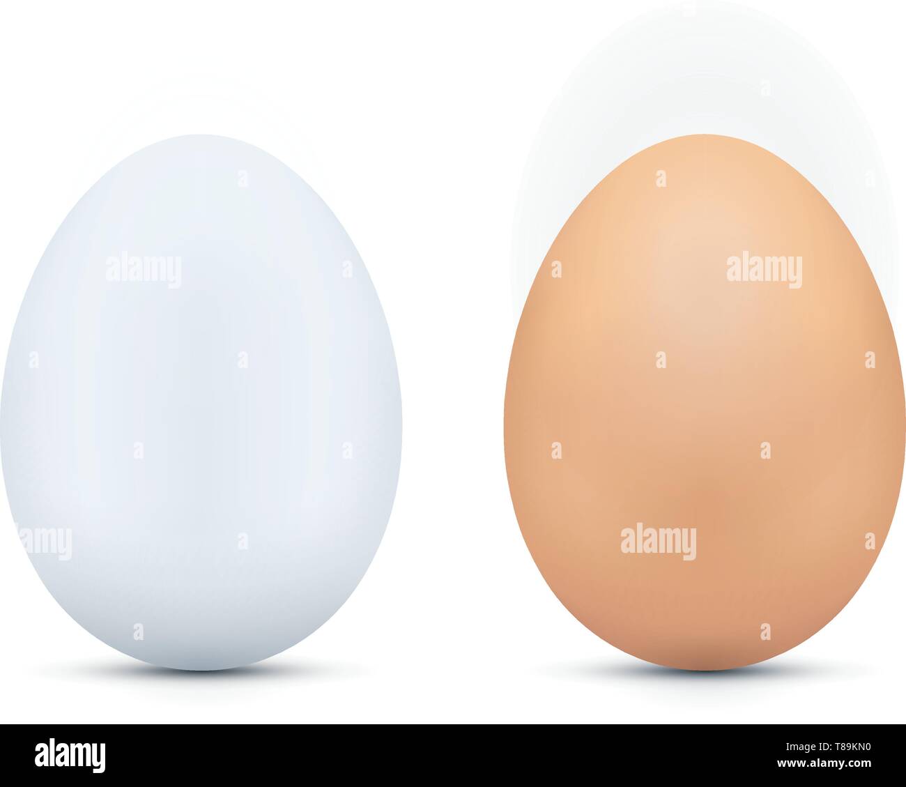 Oval raw brown white Stock Vector Images - Alamy