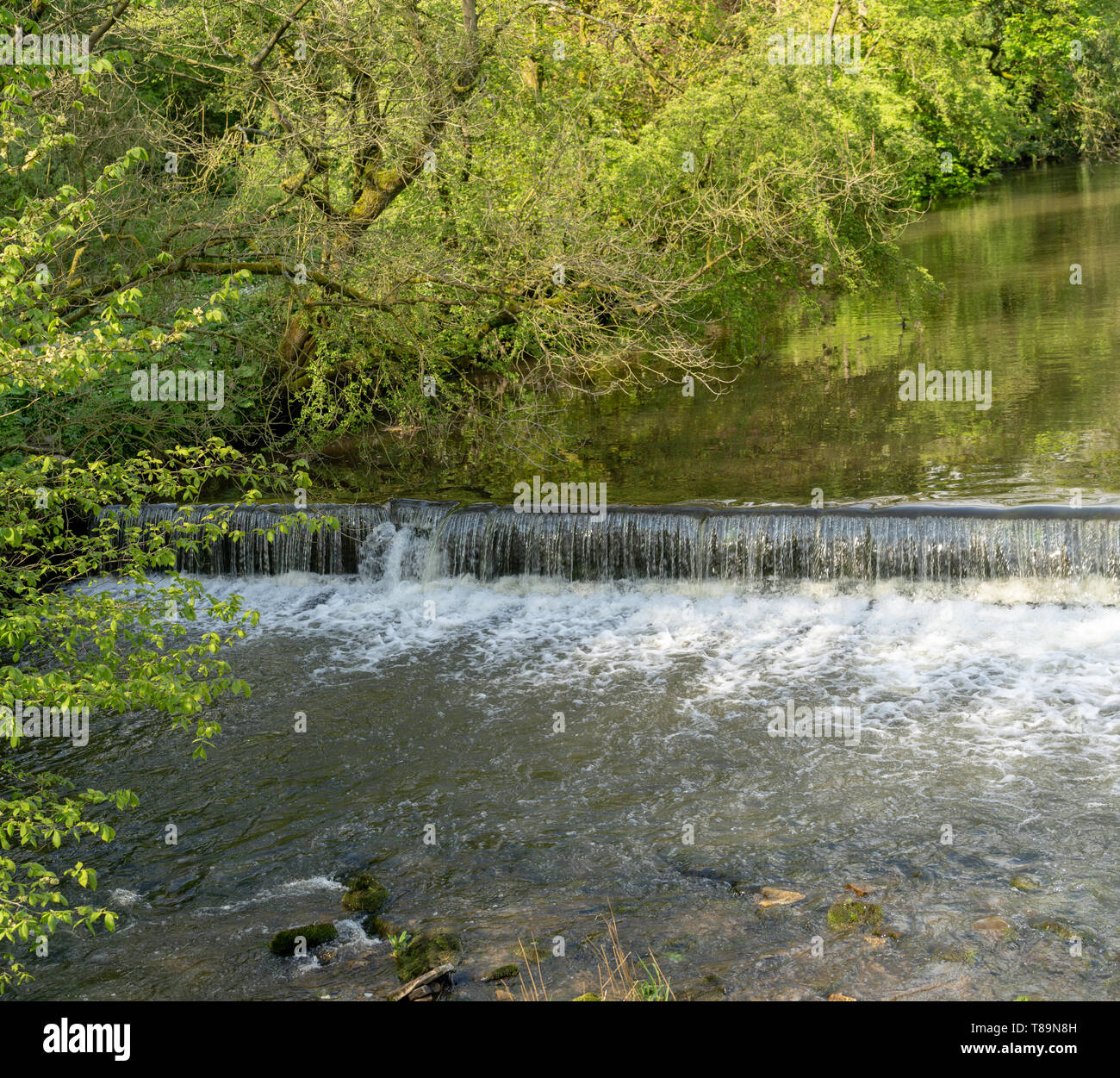 Weir / Waterfall on the River Manifold, Ilam Hall, Ilam Park, Ilam ...