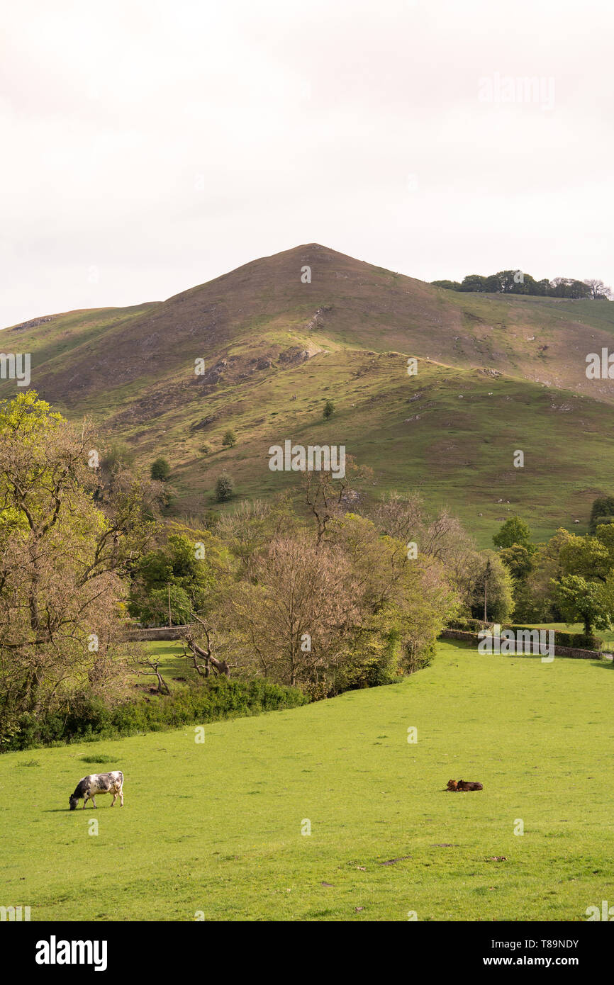 Thorpe Cloud hill (Dovedale) as seen from Ilam Park, Ilam, Peak ...