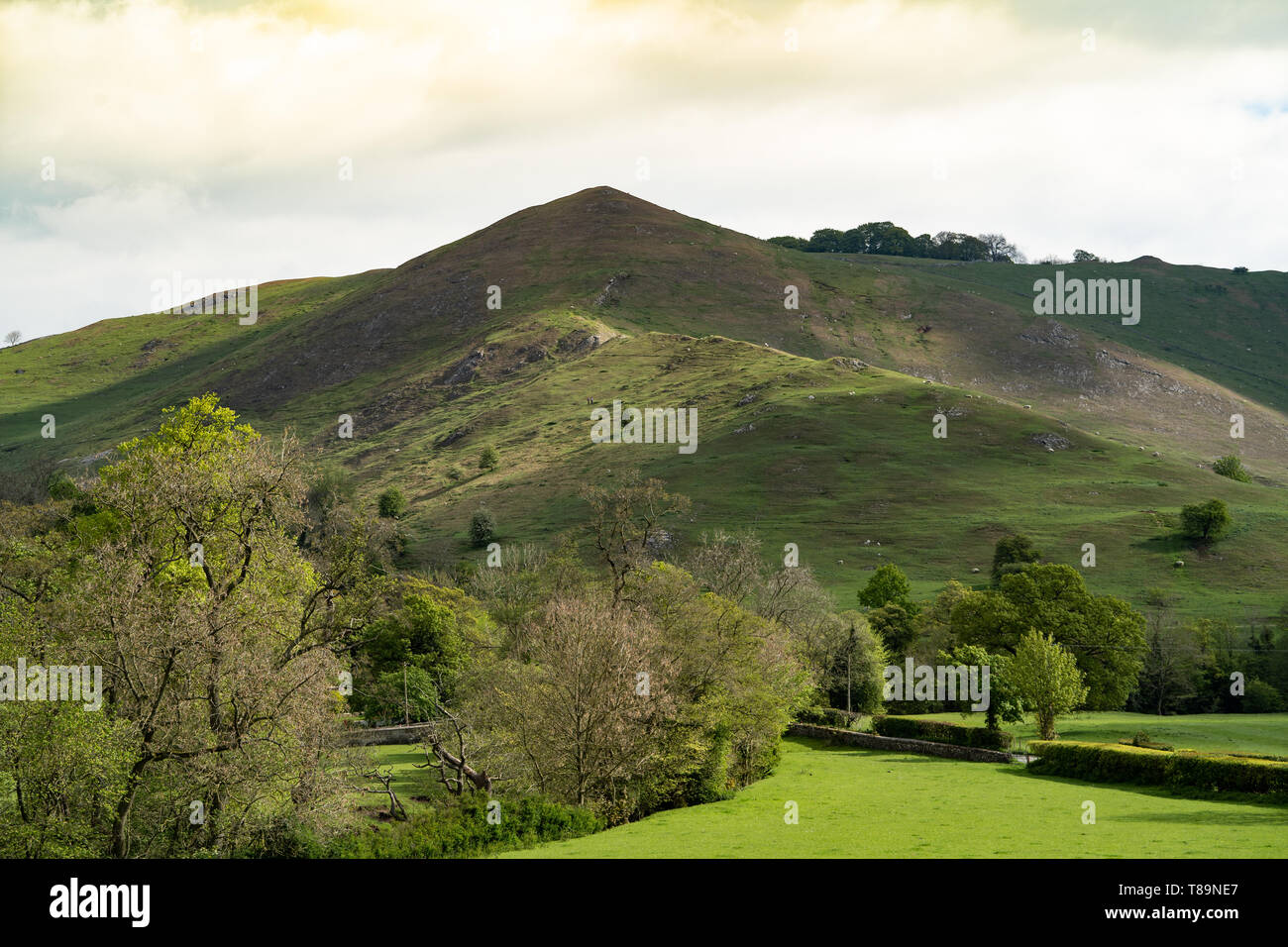 Thorpe Cloud hill (Dovedale) as seen from Ilam Park, Ilam, Peak ...