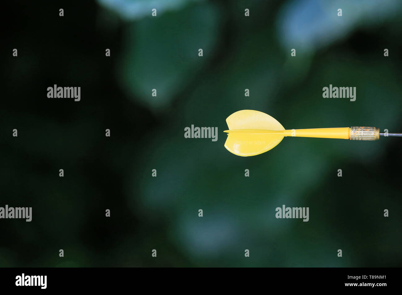 Fléchette hi-res stock photography and images - Alamy