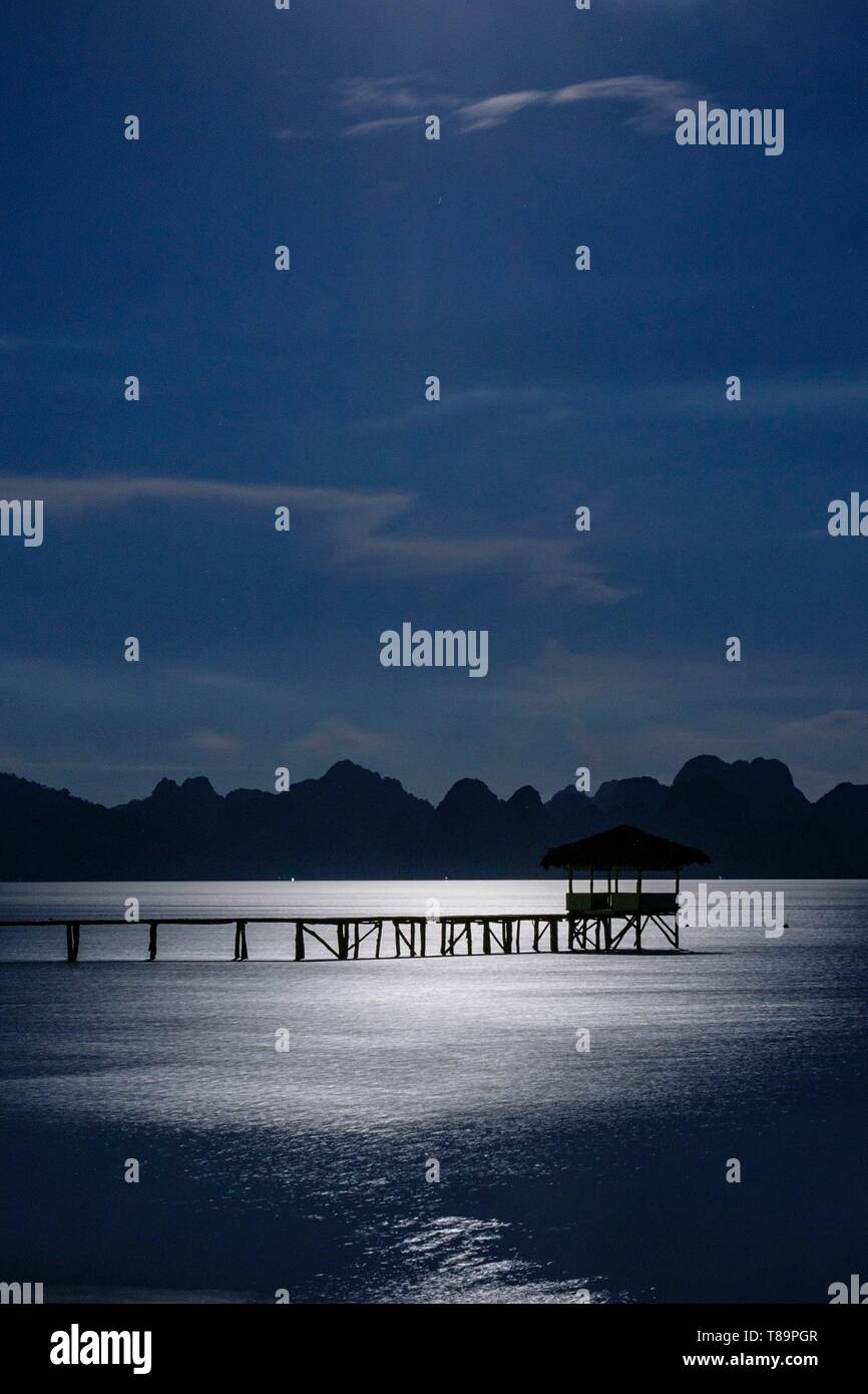 Vietnam, Ha Long bay a World heritage site of UNESCO, Van Don island ...