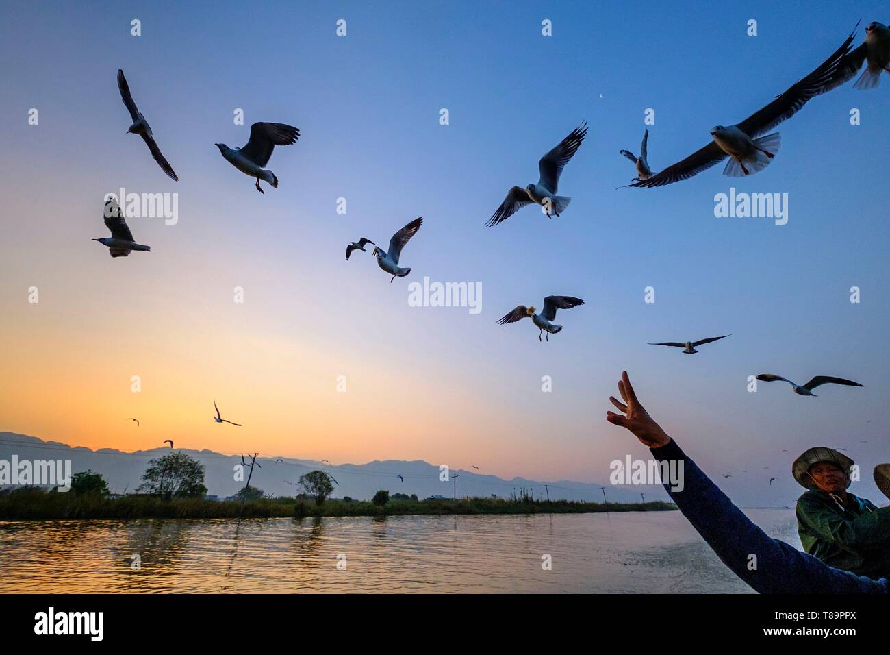 Myanmar, Shan state, Inle Lake Stock Photo - Alamy