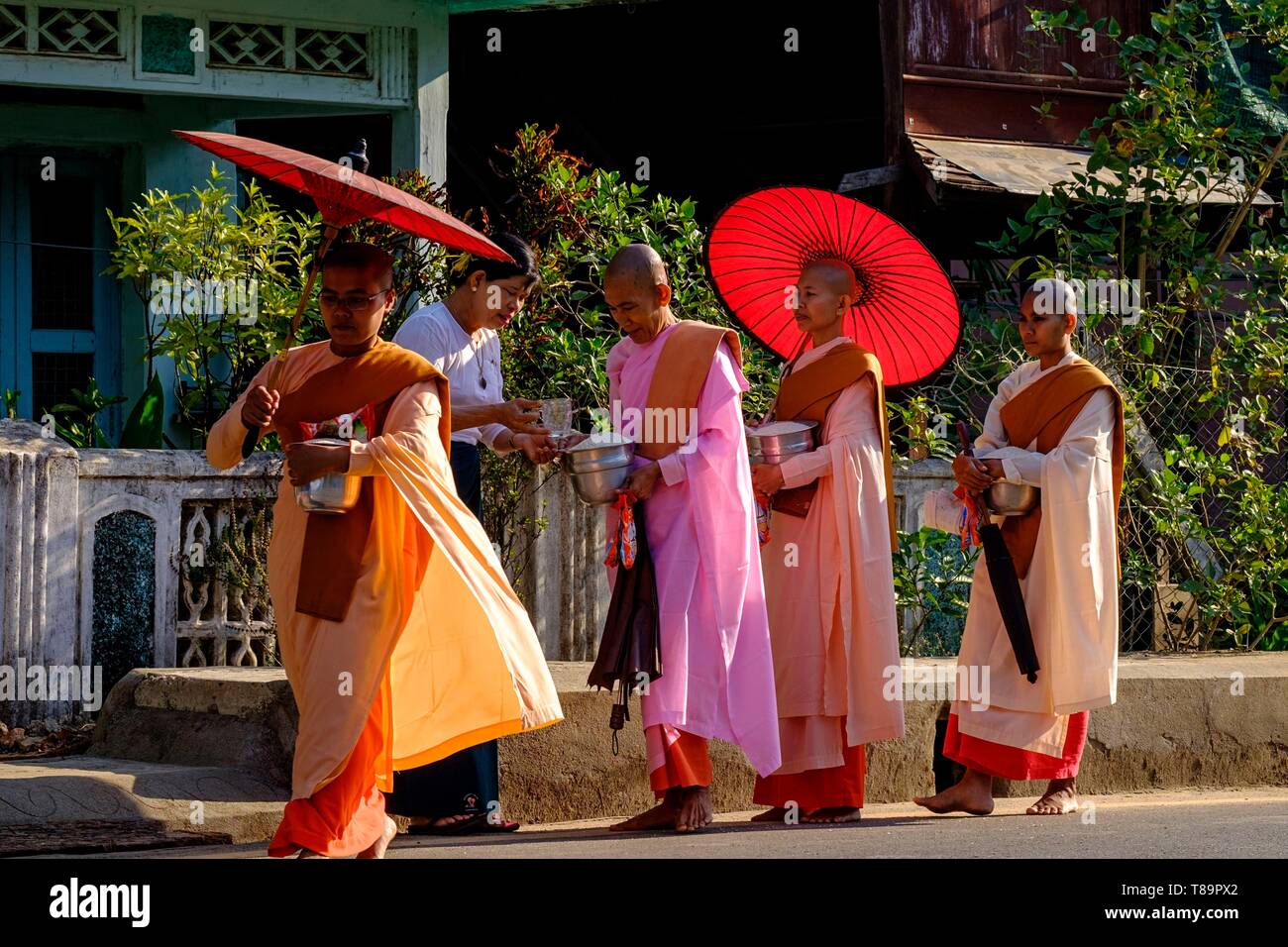 Myanmar, Burma, Tanintharyi region, Dawei or Tavoy, nuns quest Stock ...