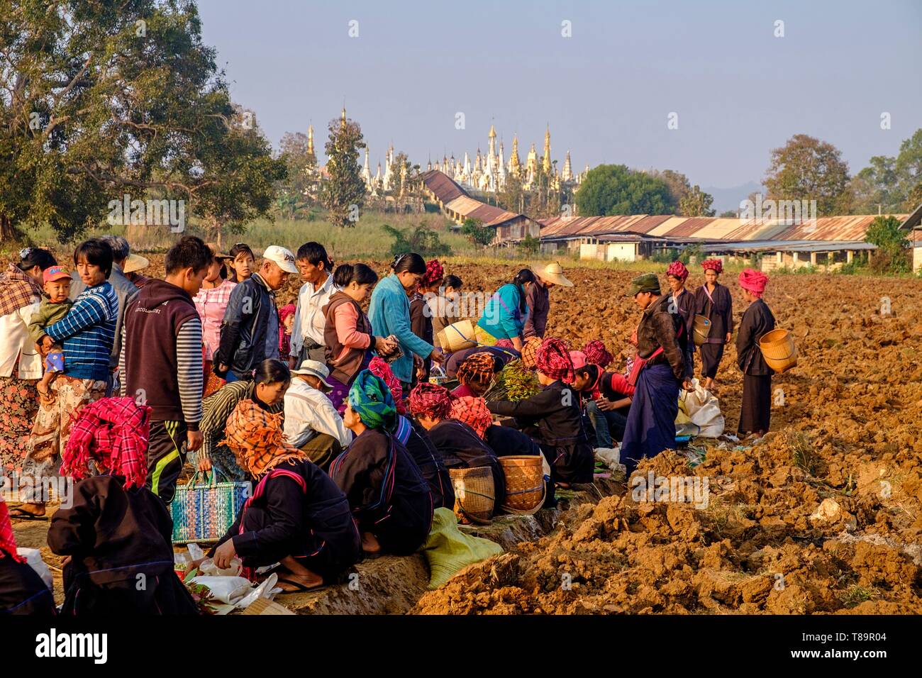 Myanmar, Shan state, Inle Lake, market in the village of Taung To Stock ...