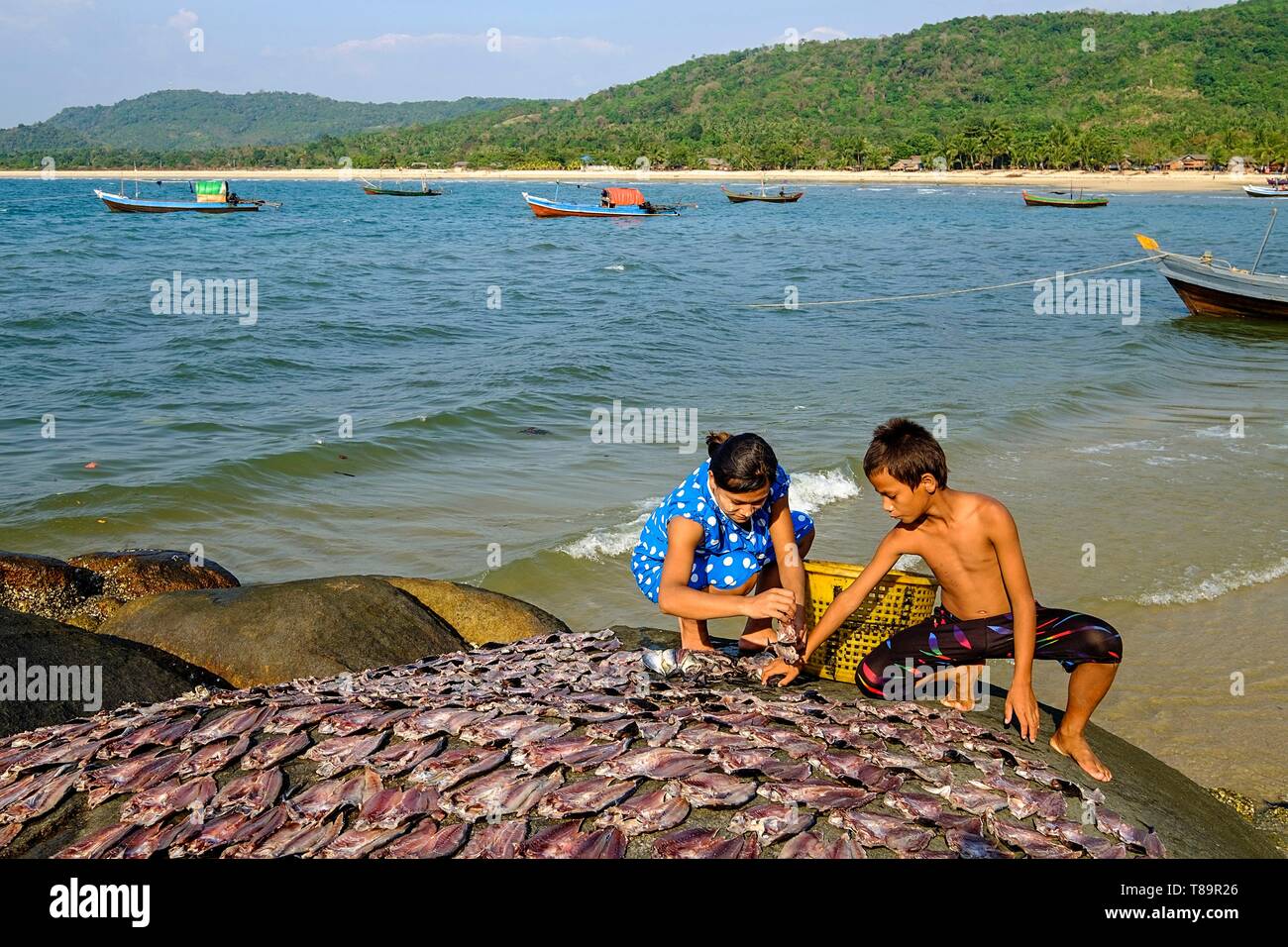 Tenasserim division hi-res stock photography and images - Alamy
