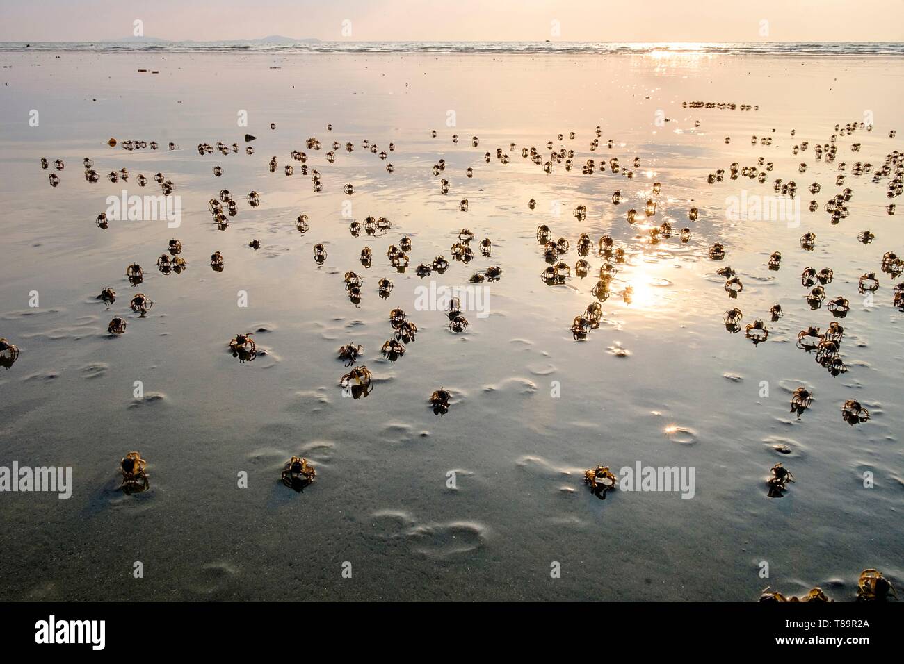 Myanmar, Burma, Tanintharyi region, Dawei or Tavoy, Maungmagan beach ...