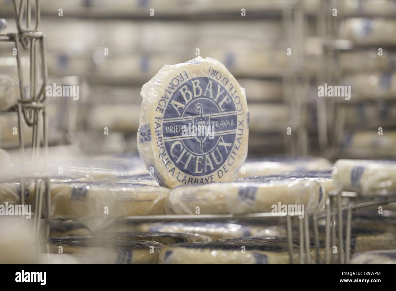 Cheeses in dairy storage room hi-res stock photography and images - Alamy