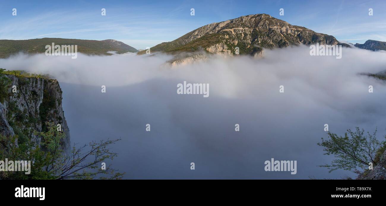 France, Var, Verdon Regional Nature Park, on the D71 the sublime ...