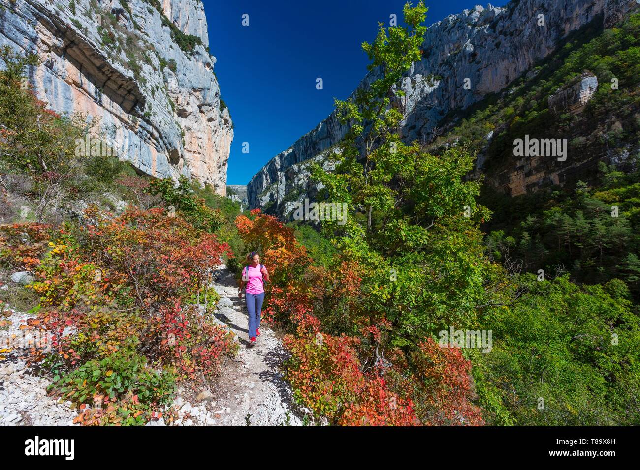 France, Alpes-de-Haute-Provence, Verdon Regional Nature Park, Grand ...