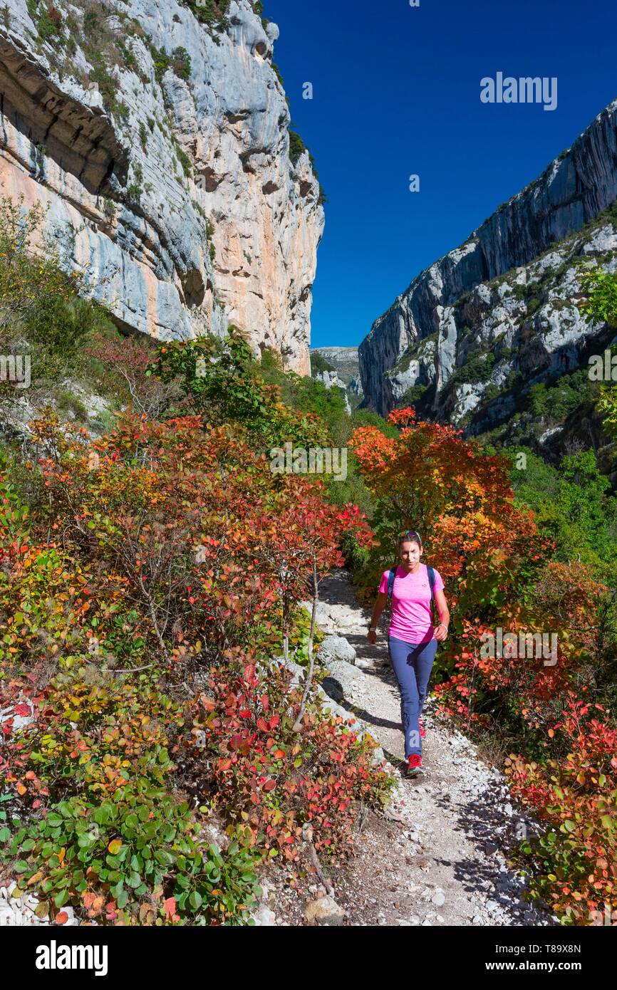 France, Alpes-de-Haute-Provence, Verdon Regional Nature Park, Grand ...