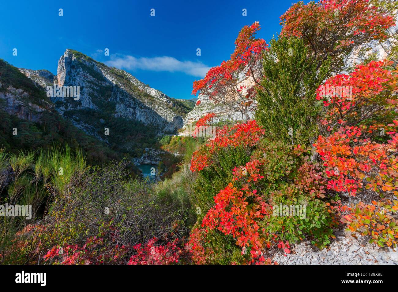 France, Alpes-de-Haute-Provence, Verdon Regional Nature Park, Grand ...