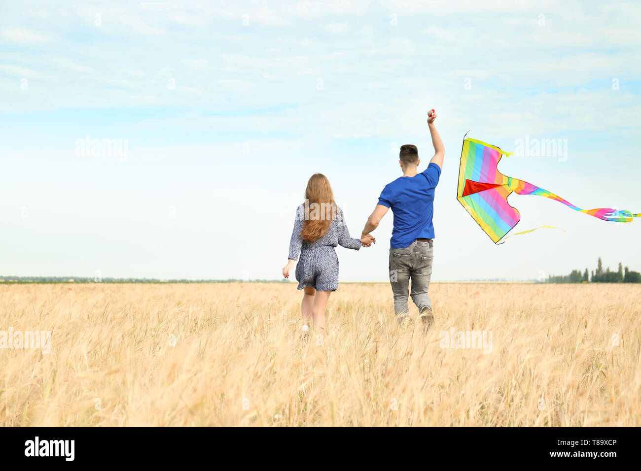 Happy young couple flying kite in a field Stock Photo - Alamy