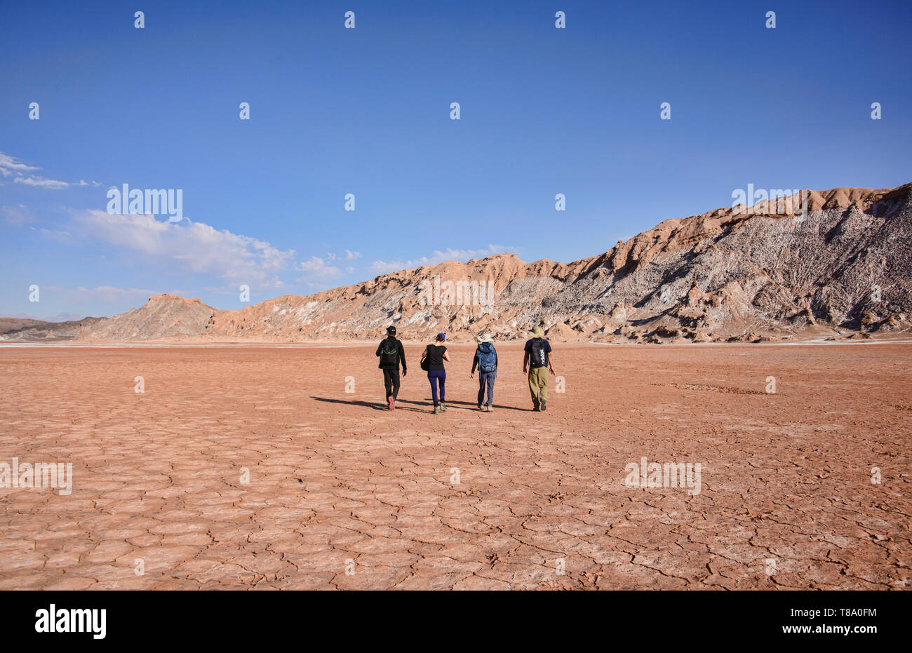 Tourist enjoying the salt, sand, and desertscape in the Moon Valley ...