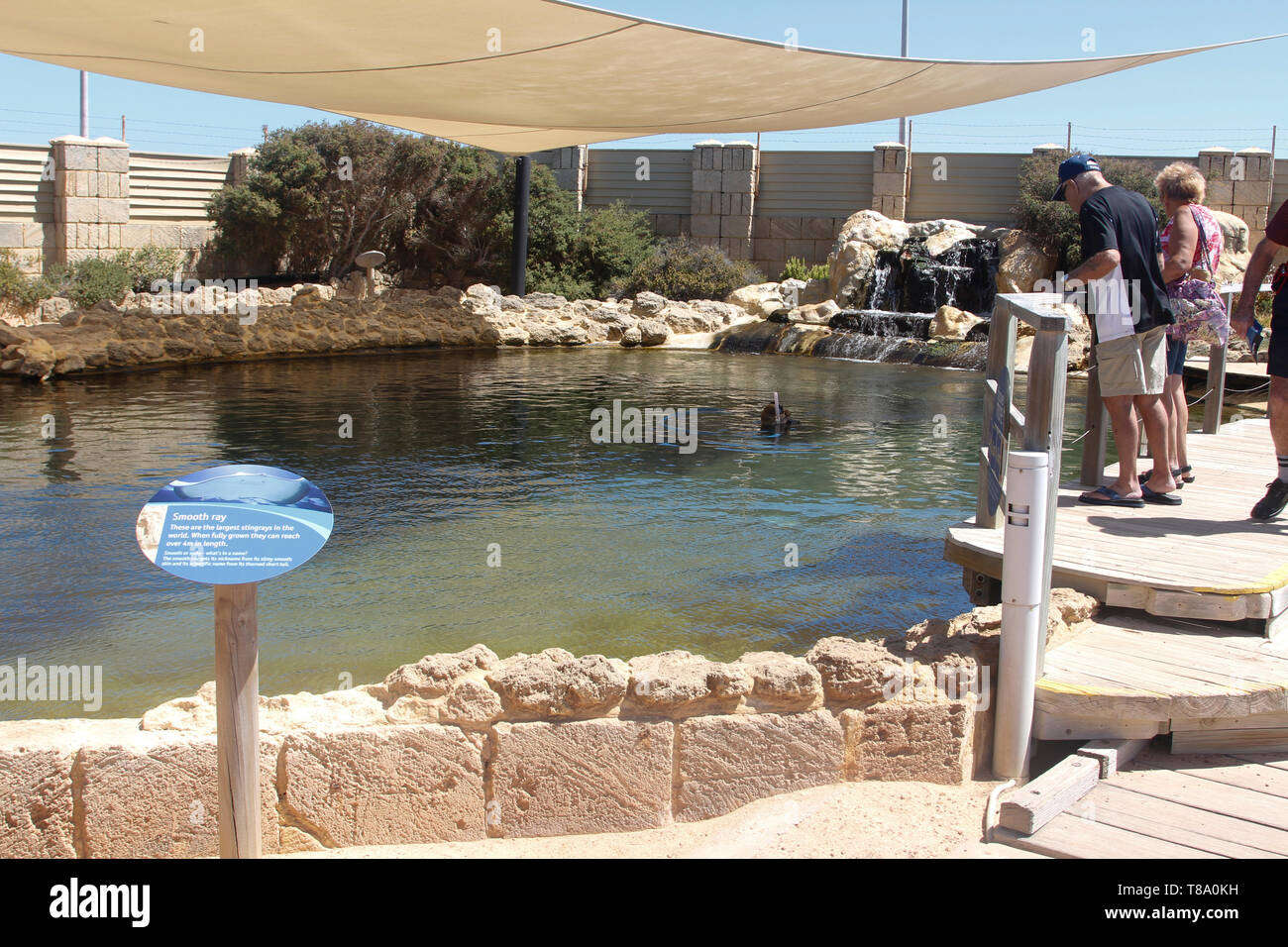 Perth, Western Australia, Australia - 23/01//2013 : AQWA Aquarium of ...