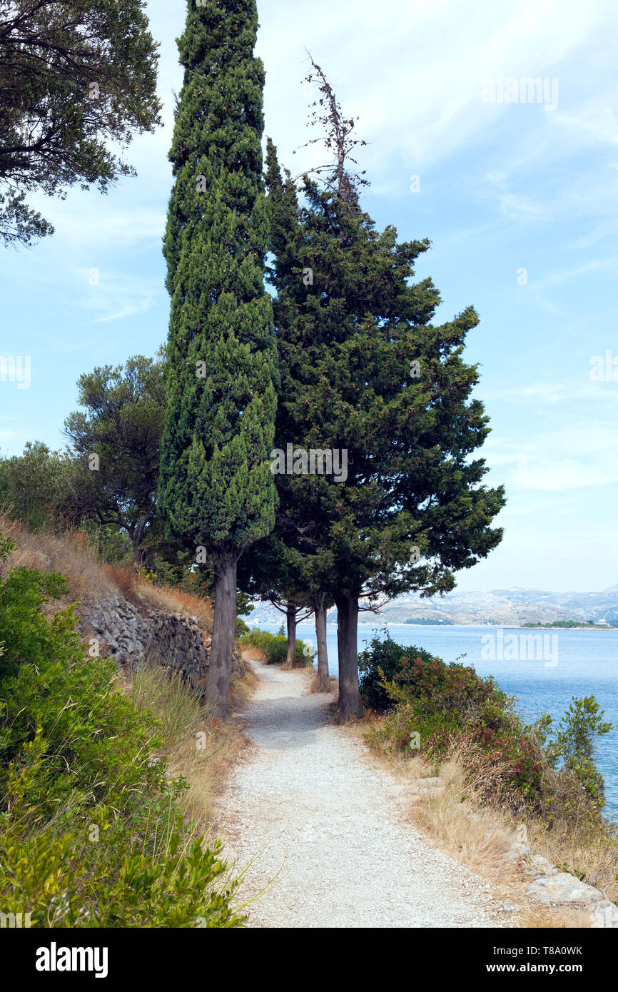 Narrow stony coastal path with tall cypress trees in Croatia Stock ...