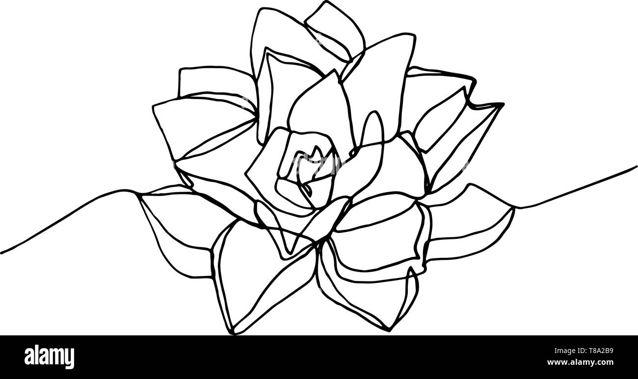 Hand drawn minimalistic succulent, one single continuous black line ...