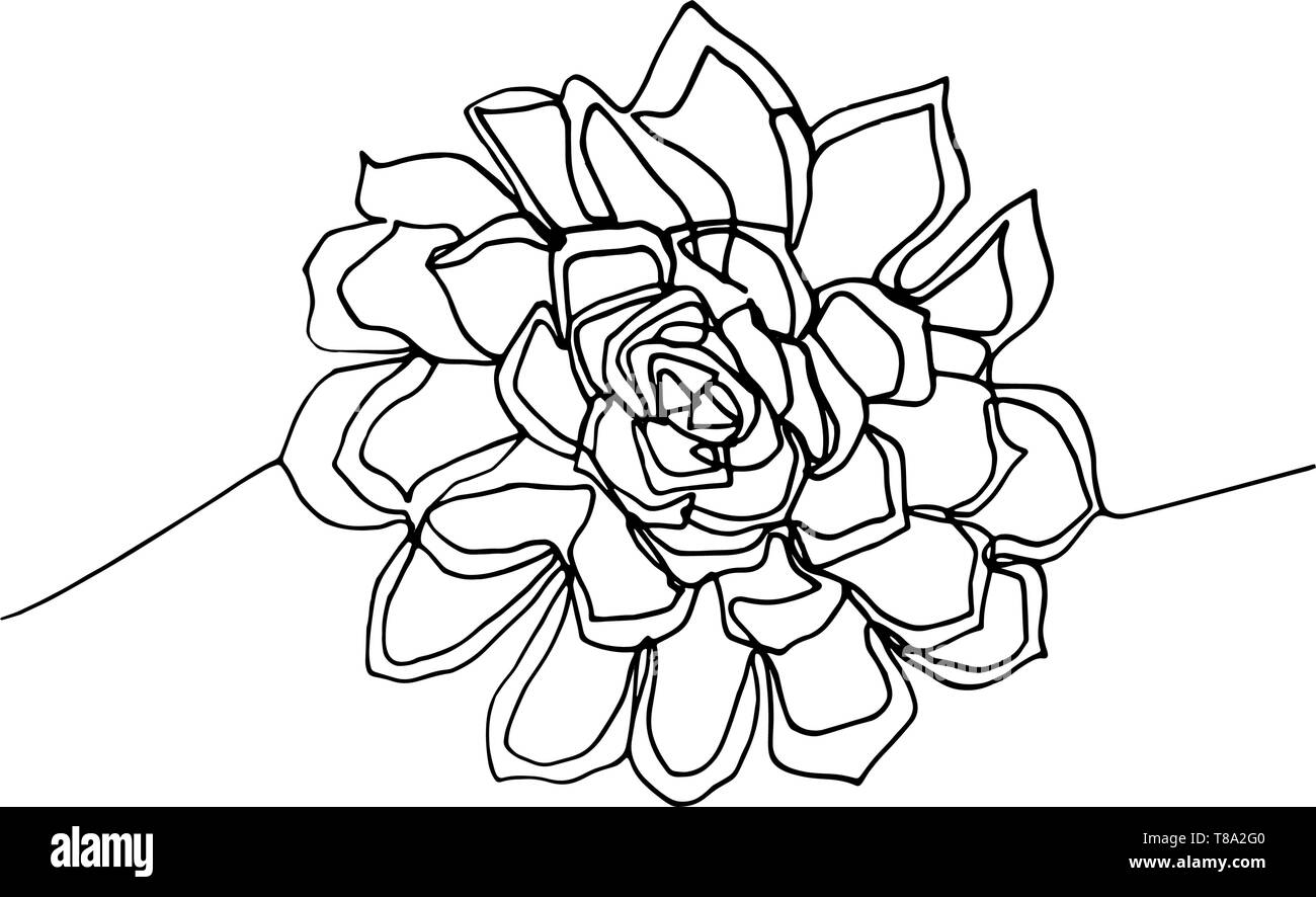 Hand drawn minimalistic succulent, one single continuous black line ...
