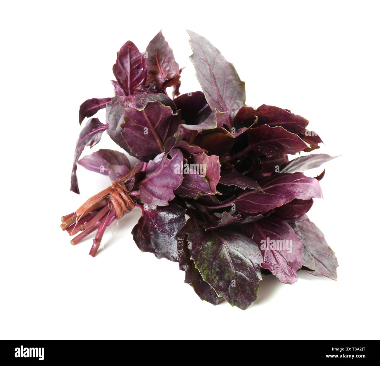 Purple basil on white hi-res stock photography and images - Alamy