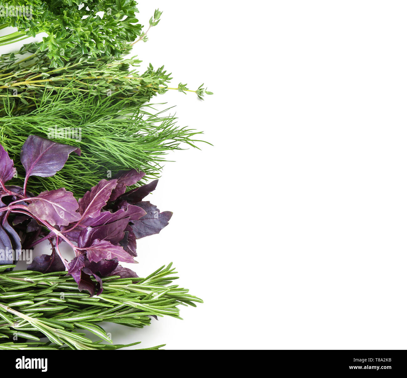 Different fresh herbs on white background Stock Photo - Alamy