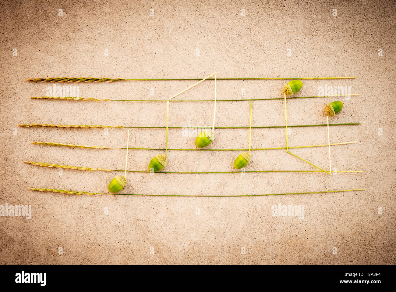 Music note grass hi-res stock photography and images - Alamy