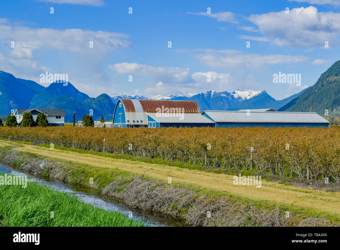 British farm buildings hi-res stock photography and images - Alamy