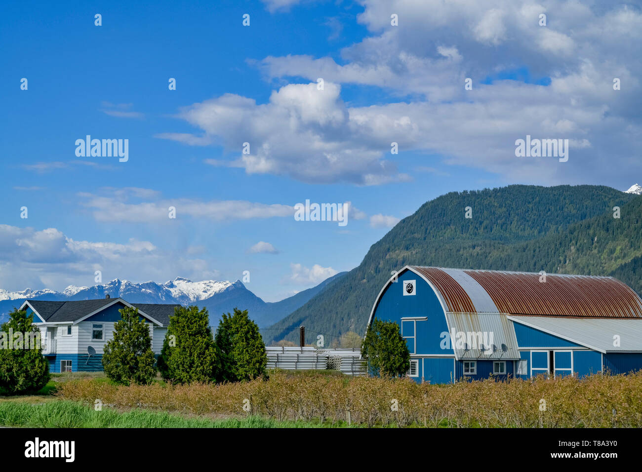 British farm buildings hi-res stock photography and images - Alamy
