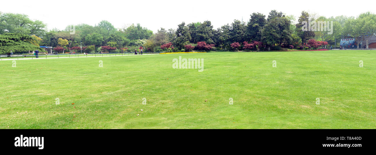 Grasslands and lawns hi-res stock photography and images - Alamy