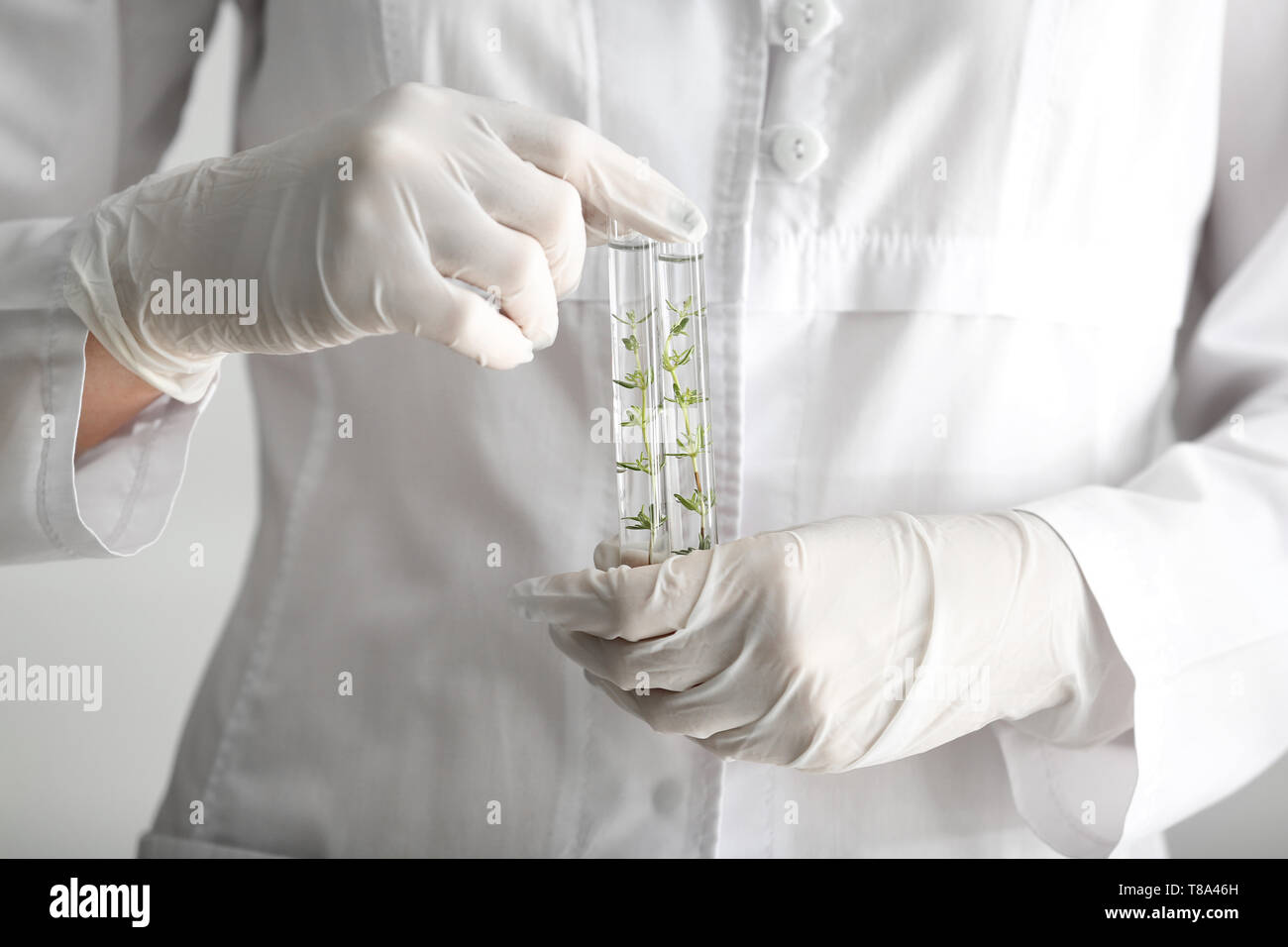 Laboratory worker plants hi-res stock photography and images - Alamy