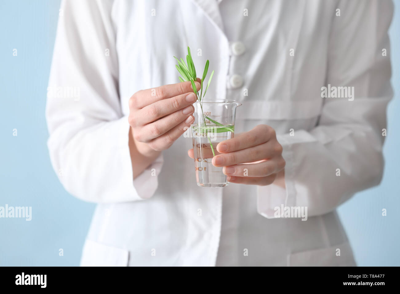 Laboratory worker holding beaker with plant on color background ...