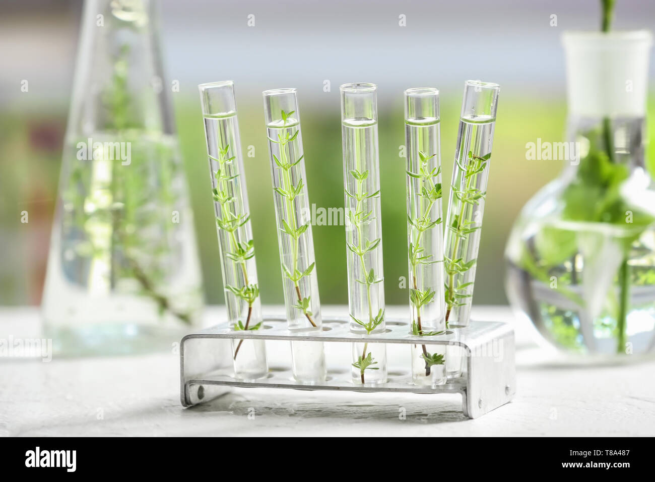 Extraction tube holder hi-res stock photography and images - Alamy