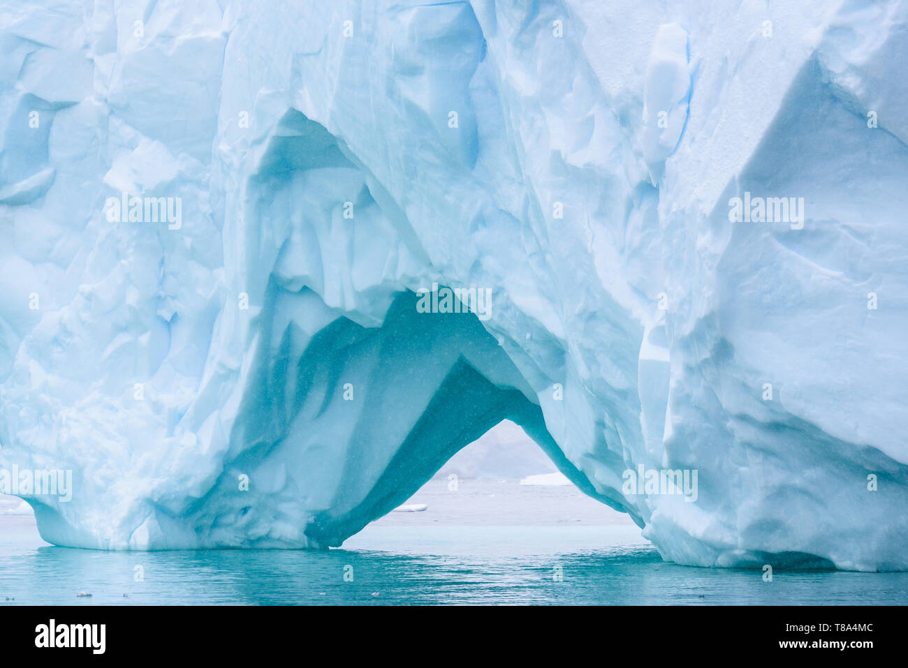 Beautiful turquoise blue iceberg floating in the Antarctic, against a ...