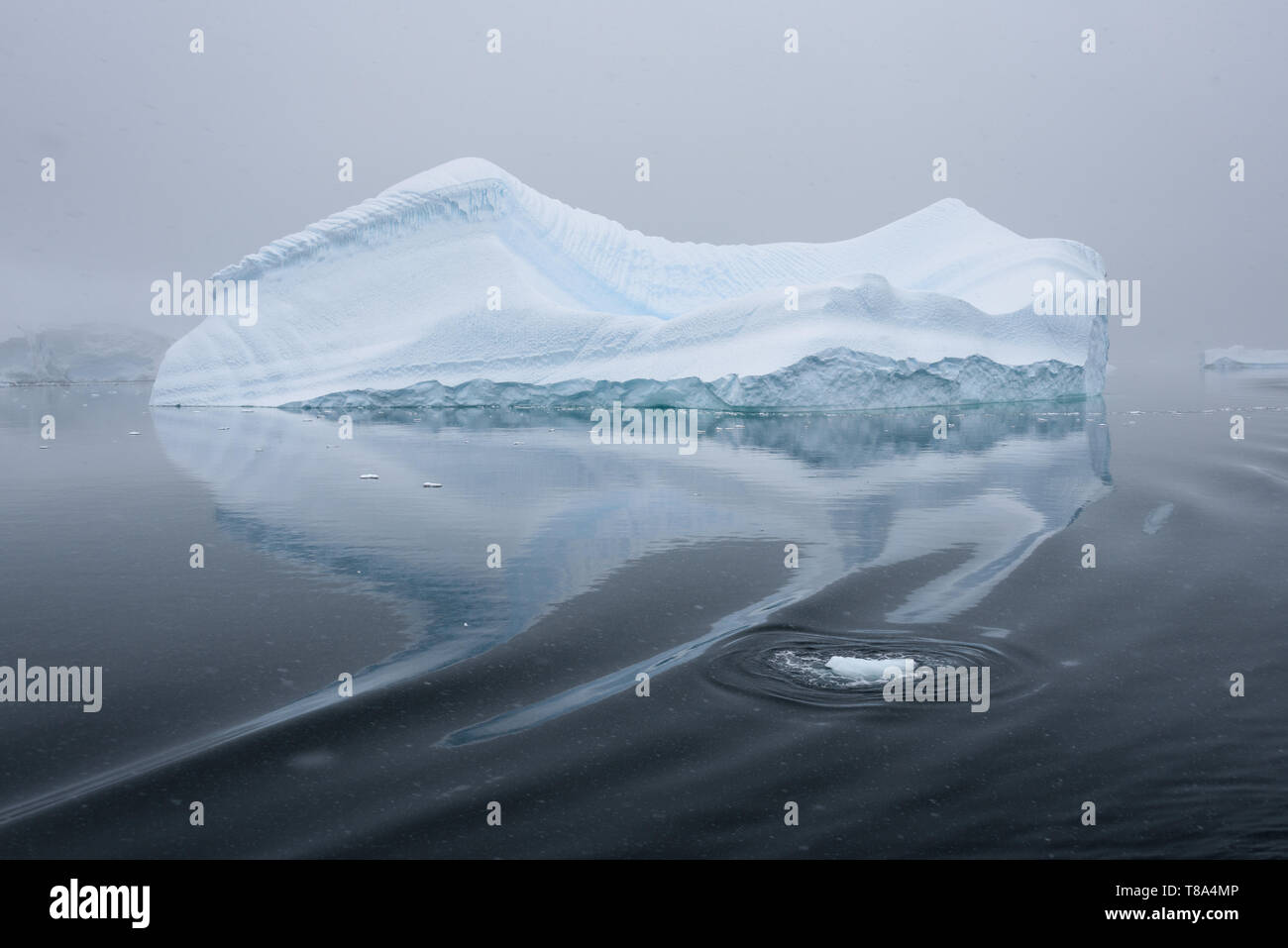Sculptural iceberg shrouded in fog and floating in the dark waters of ...