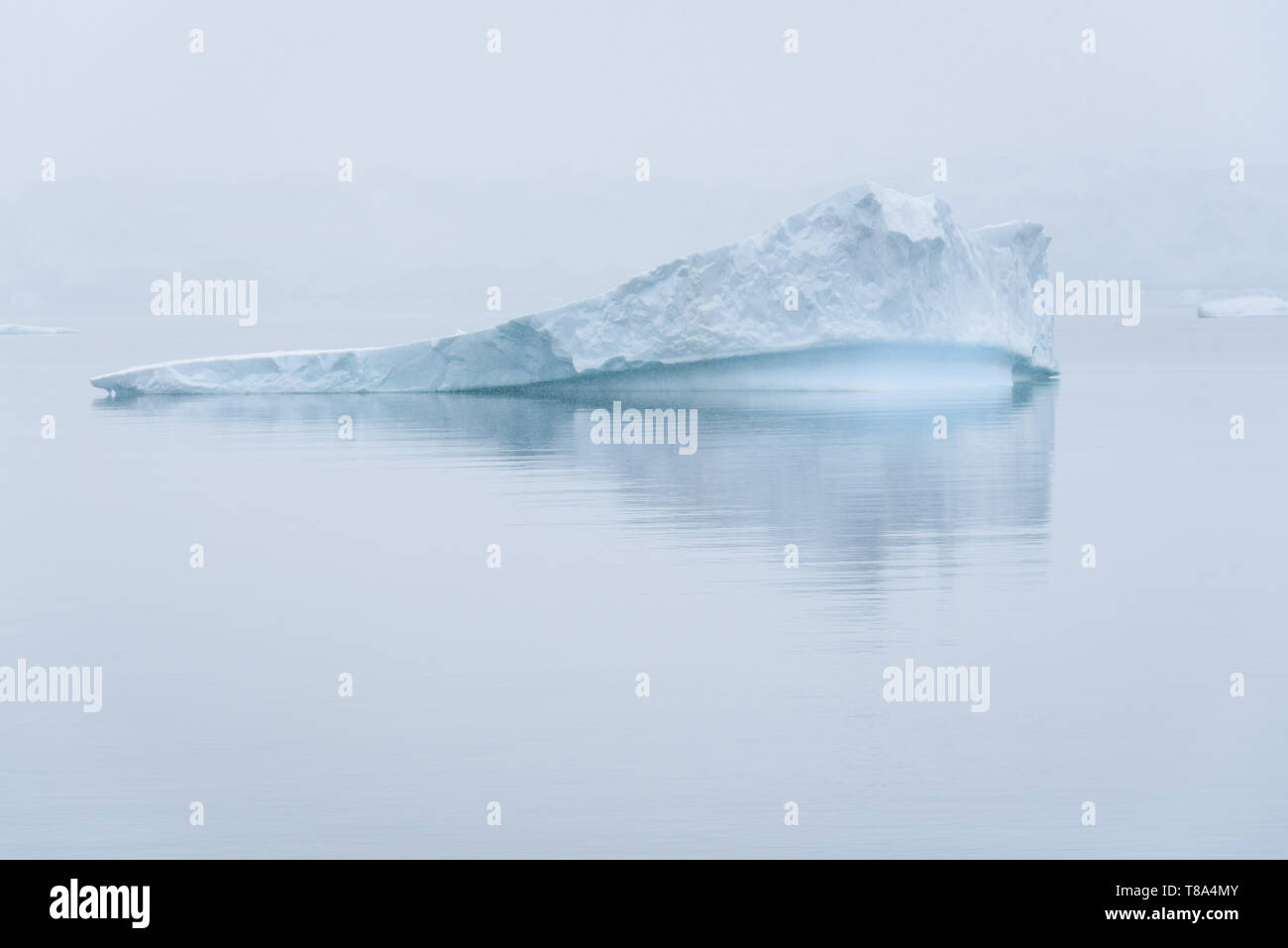 Sculptural iceberg shrouded in fog and floating in the waters of ...