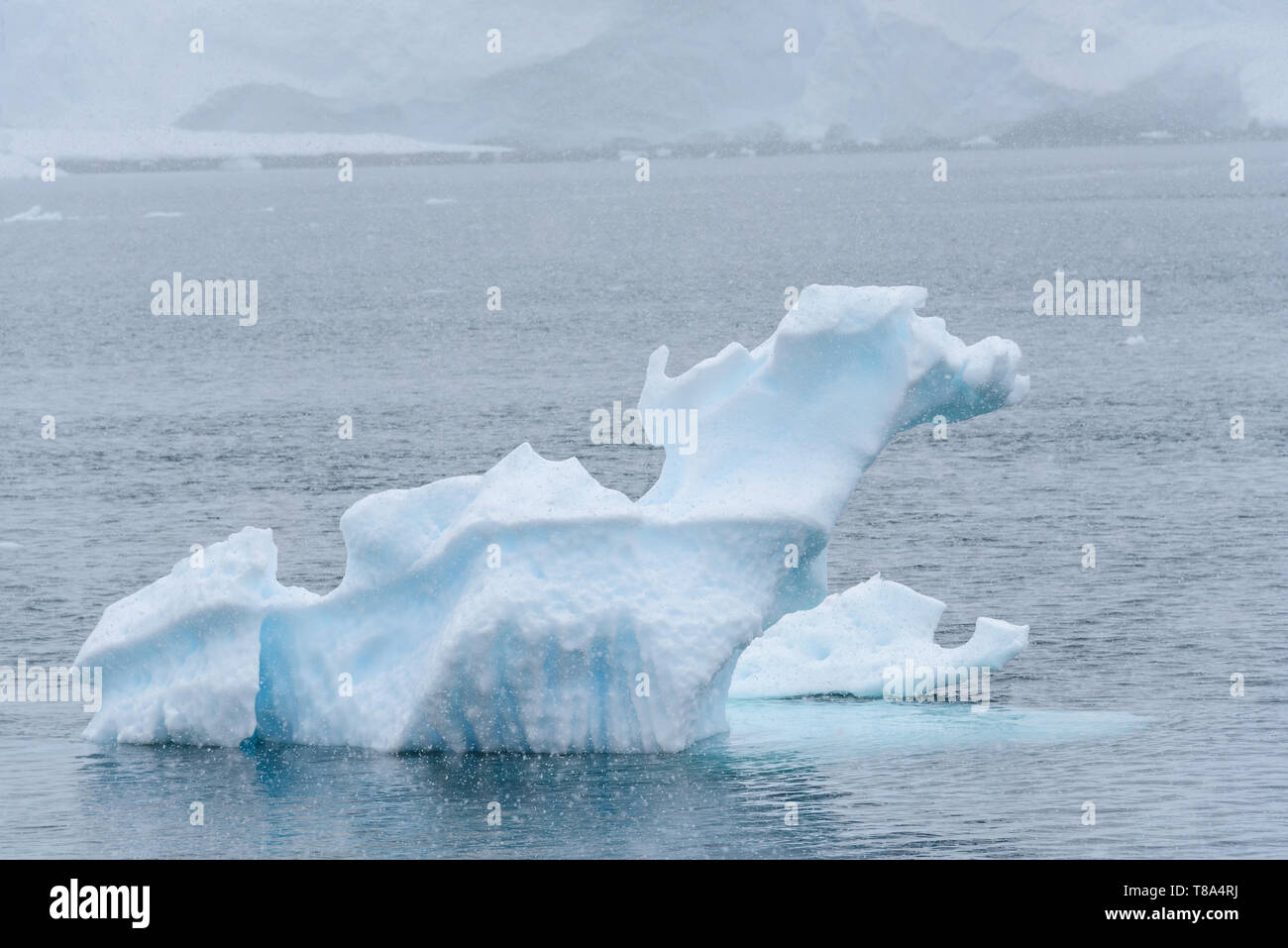 Sculptural iceberg shrouded in fog and floating in the waters of ...