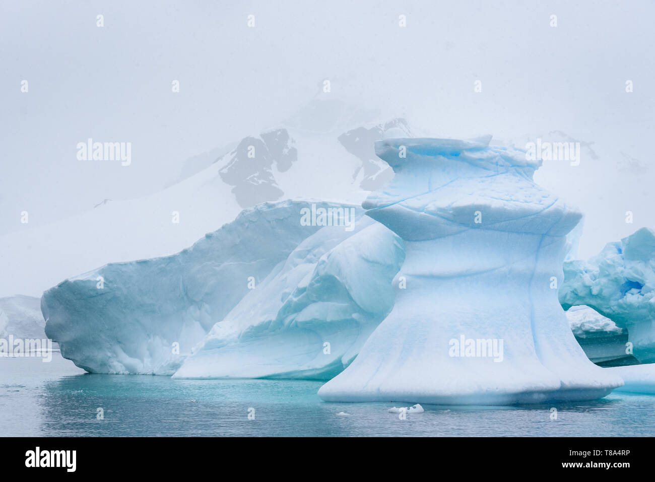 Beautiful turquoise blue iceberg floating in the Antarctic, against a ...